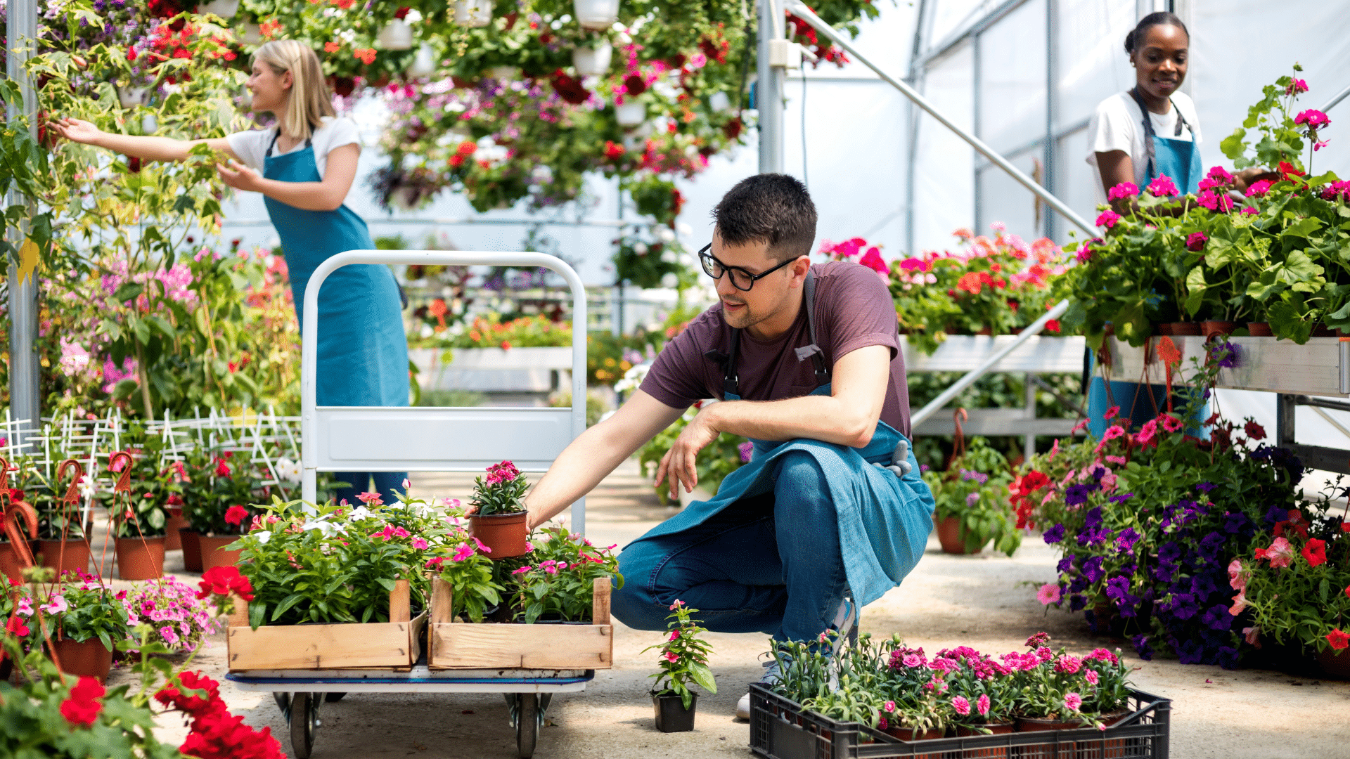 This Is How Much Garden Plants Will Cost You with Examples Little Leafy This Is How Much Garden Plants Will Cost You with Examples Little Leafy