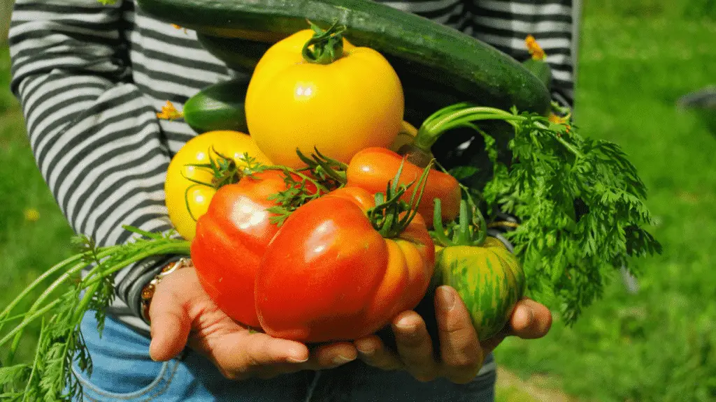 How To Grow Vegetables From Scraps 🥔 - Little Leafy