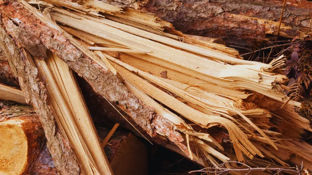 Can You Get Splinters From Mulch? - Little Leafy