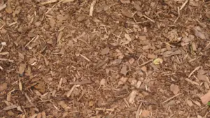 Why Do Mulch Piles Catch Fire? - Little Leafy